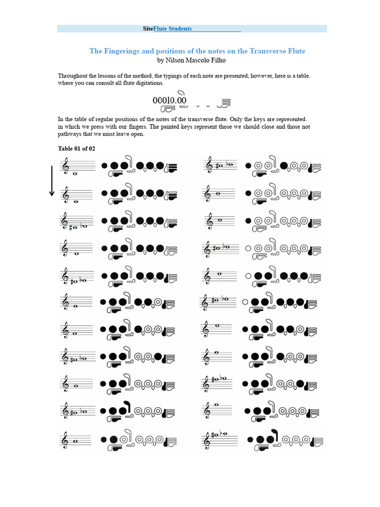 The Fingering and Positions of Notes On The Transverse Flute | PDF