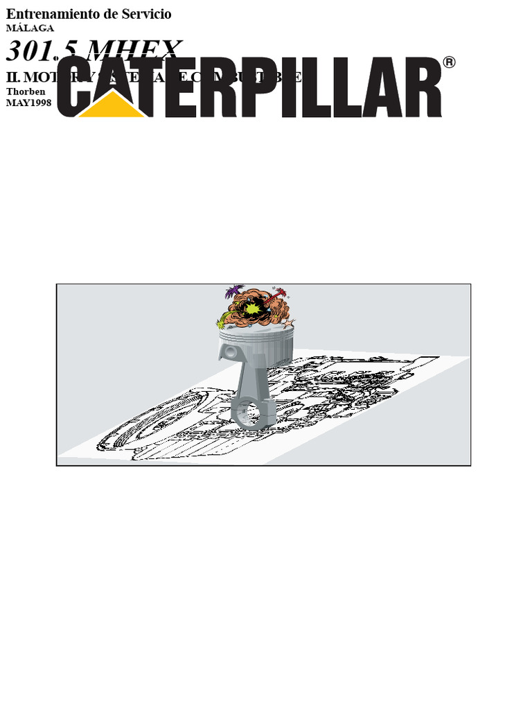 Gato | PDF | Inyección de combustible | Motor diesel