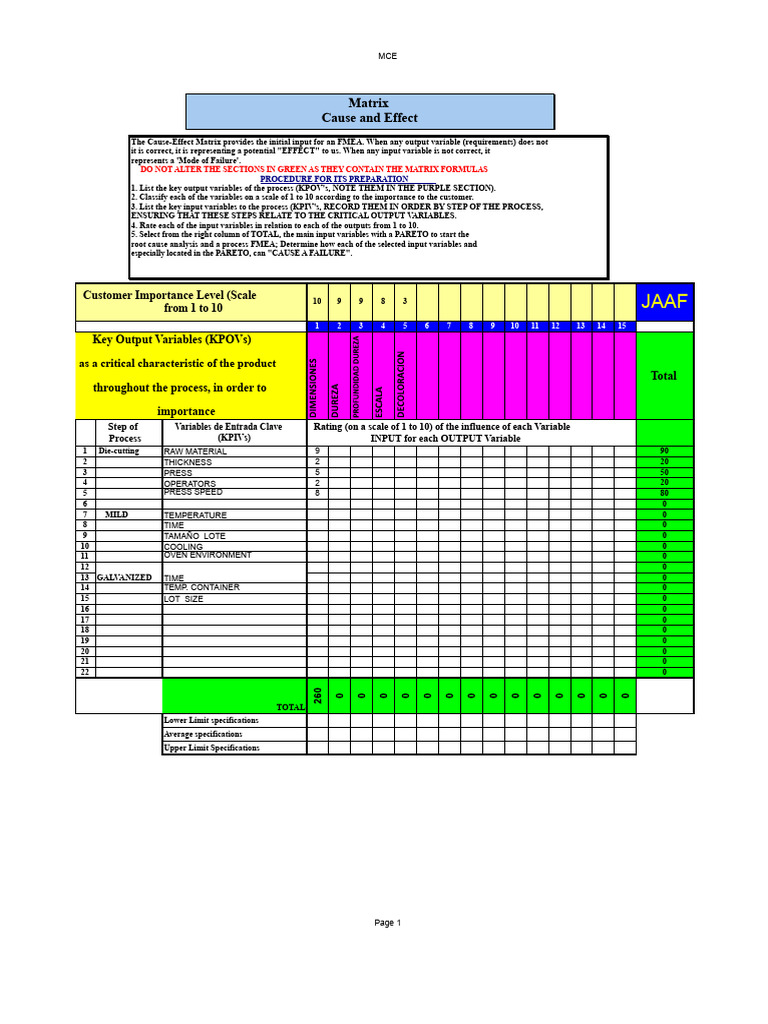 cause-effect matrix project.xls | PDF