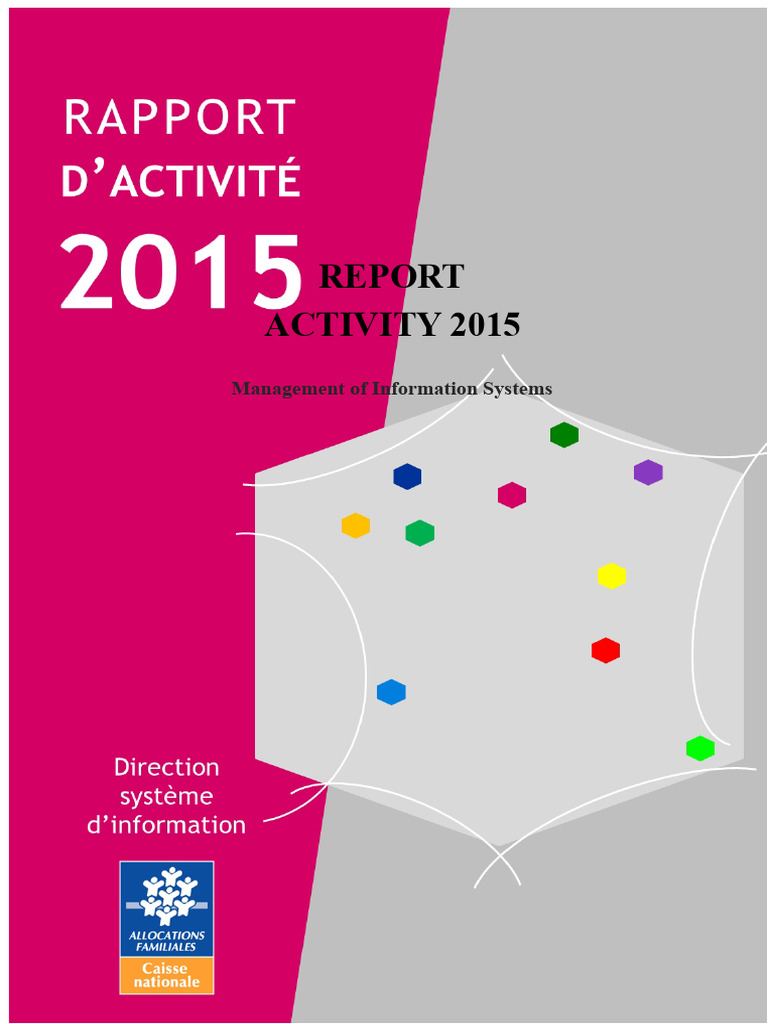 DSI Activity Report 2015 | PDF | Ios | Computing
