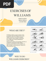 Williams Flexion Exercises for Back Pain | PDF | Low Back Pain | Back Pain