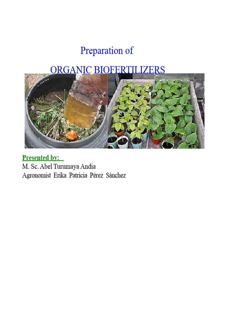 Homemade Biofertilizers Presentation (2) | PDF | Fertilizer | Manure