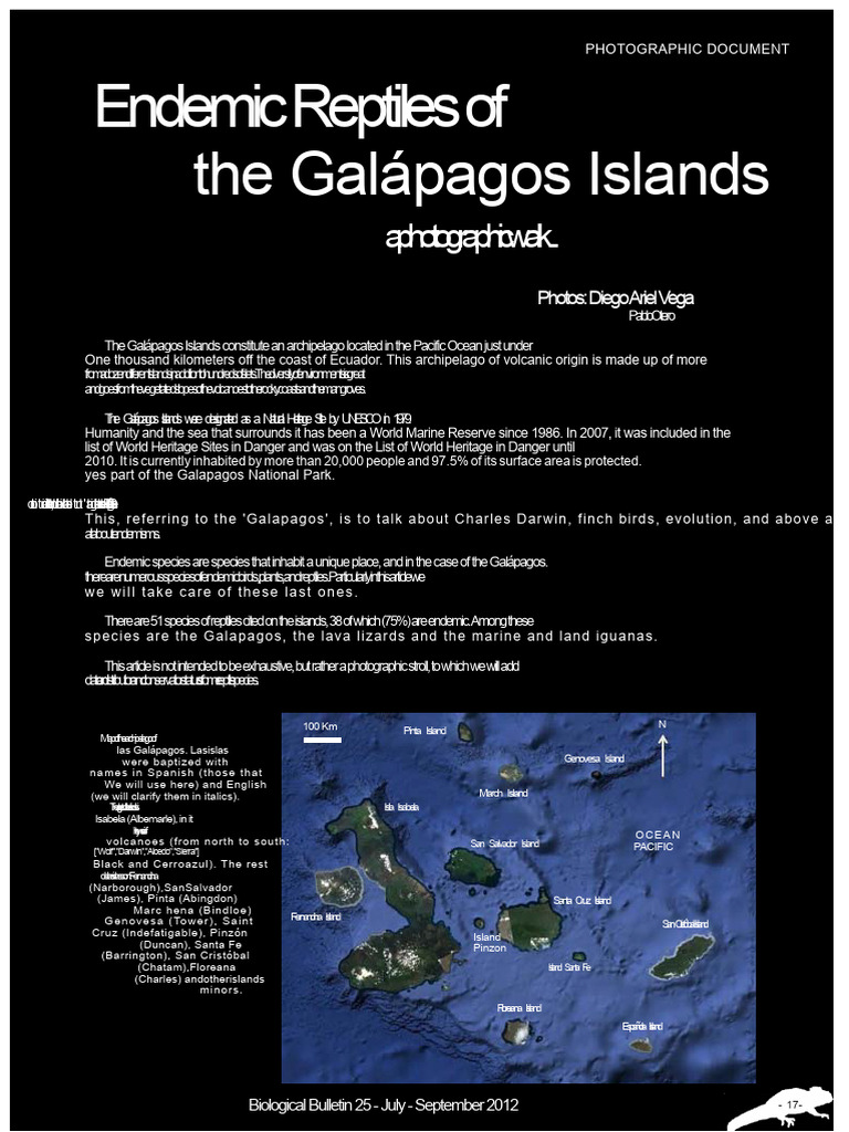 Endemic Reptiles of the Galapagos Islands | PDF | Galápagos Islands ...