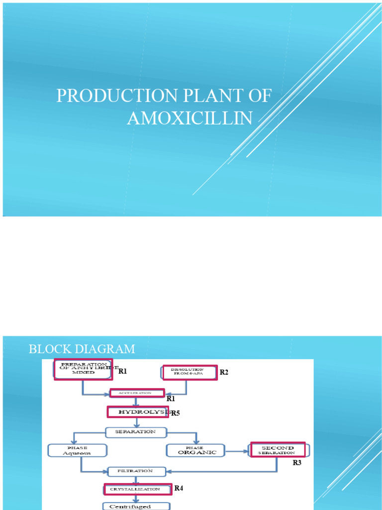 Amoxicillin Production Plant | PDF