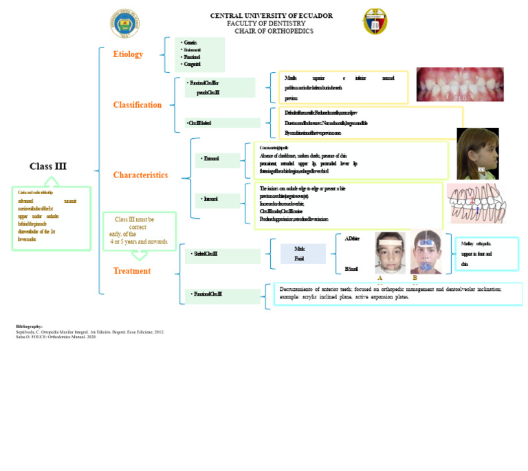 Class III - Synoptic Chart.pdf | PDF | Tooth | Mouth