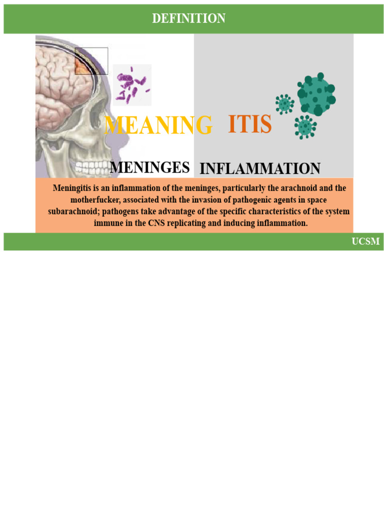 Copy of Meningitis Ppt-4-23 | PDF | Meningitis | Infection
