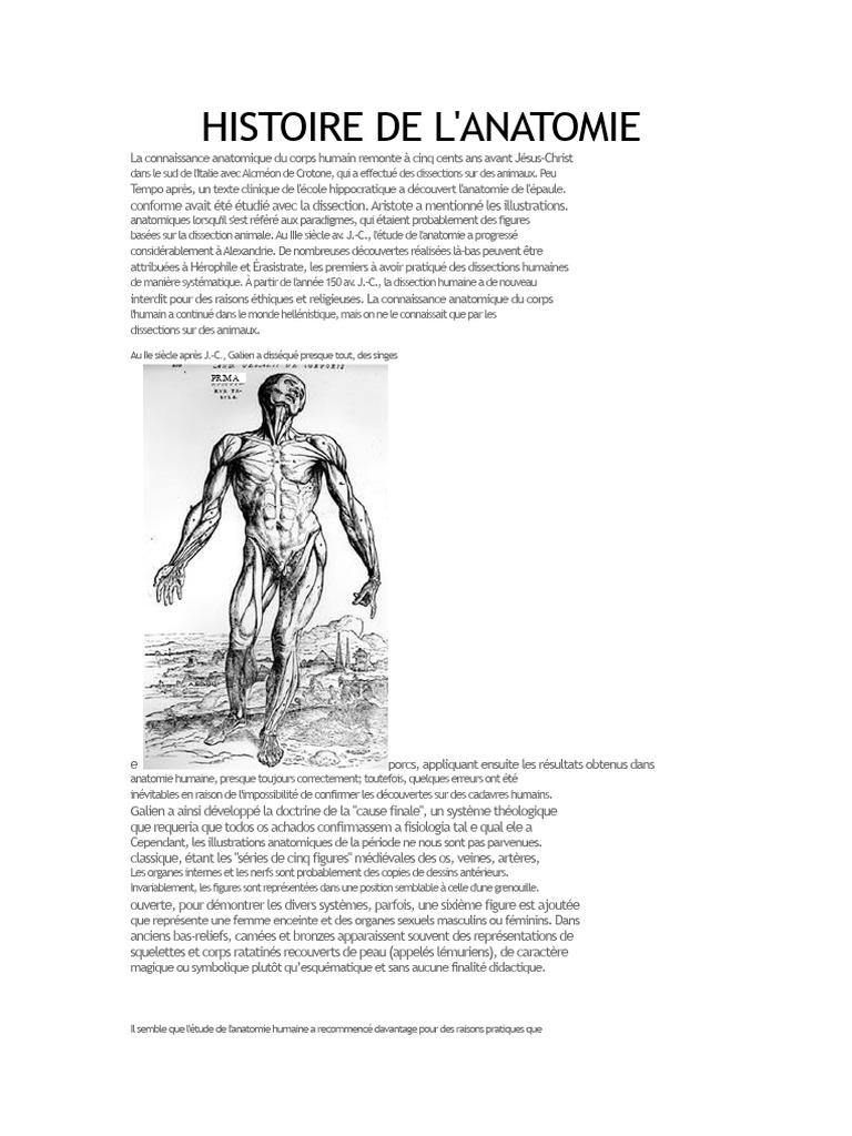 Évolution de l'anatomie humaine | PDF | Biologie | Médecine