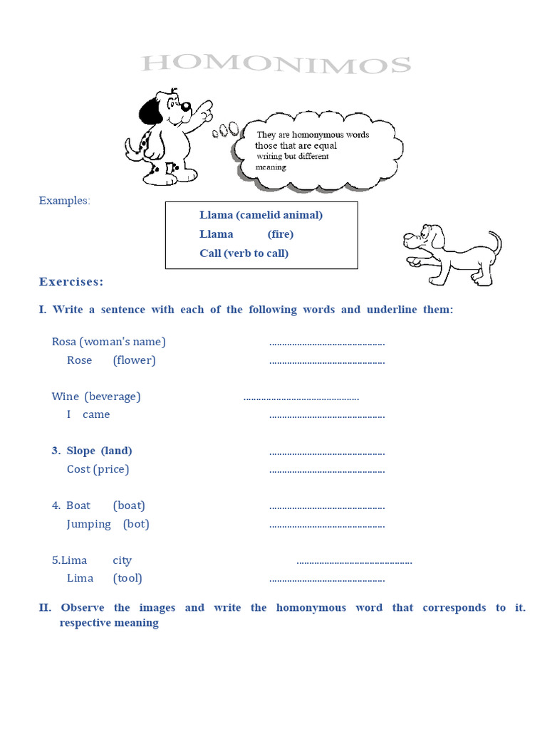 Exercises on Homonyms | PDF