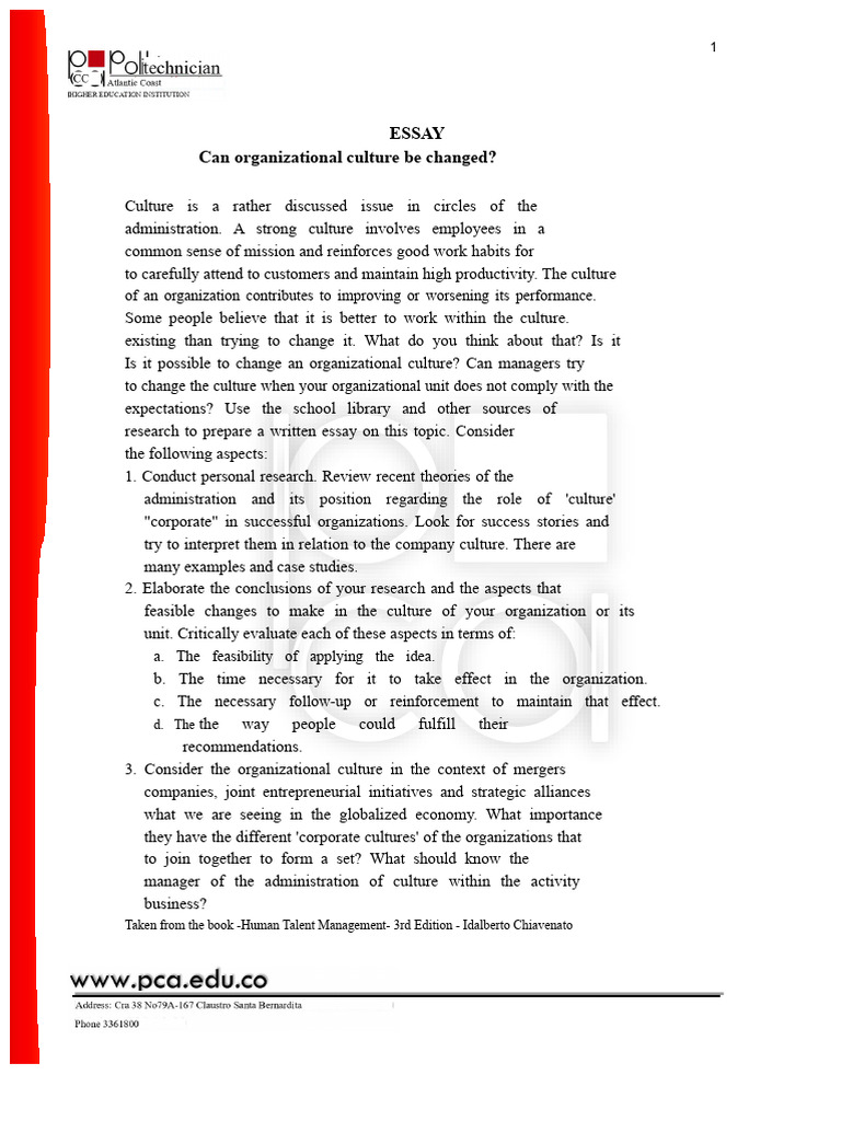 Essay on Organizational Culture | PDF | Organizational Culture | Social ...