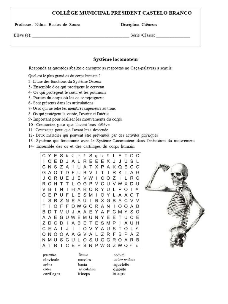 Mots Cachés Système Locomoteur | PDF