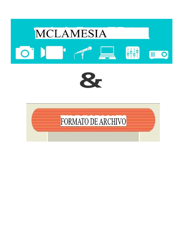 Multimedia y formatos de archivo | PDF | Formato de archivo | Archivo de computadora