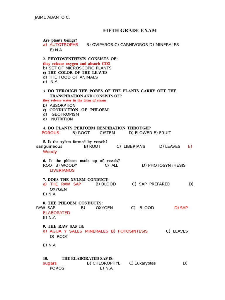 5th Grade Final Exam | PDF