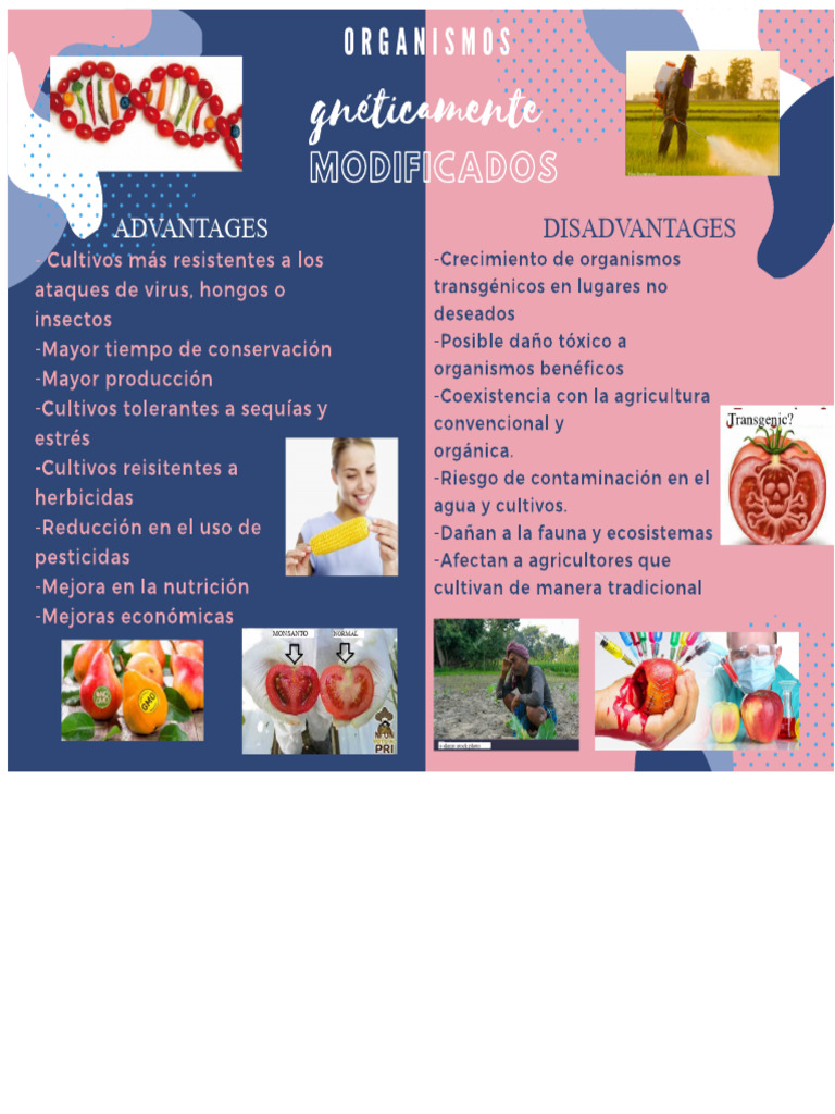 GMOs Advantages and Disadvantages | PDF