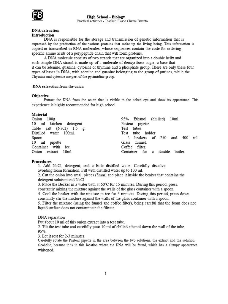 DNA extraction from onion | PDF | Dna | Nucleic Acid Sequence