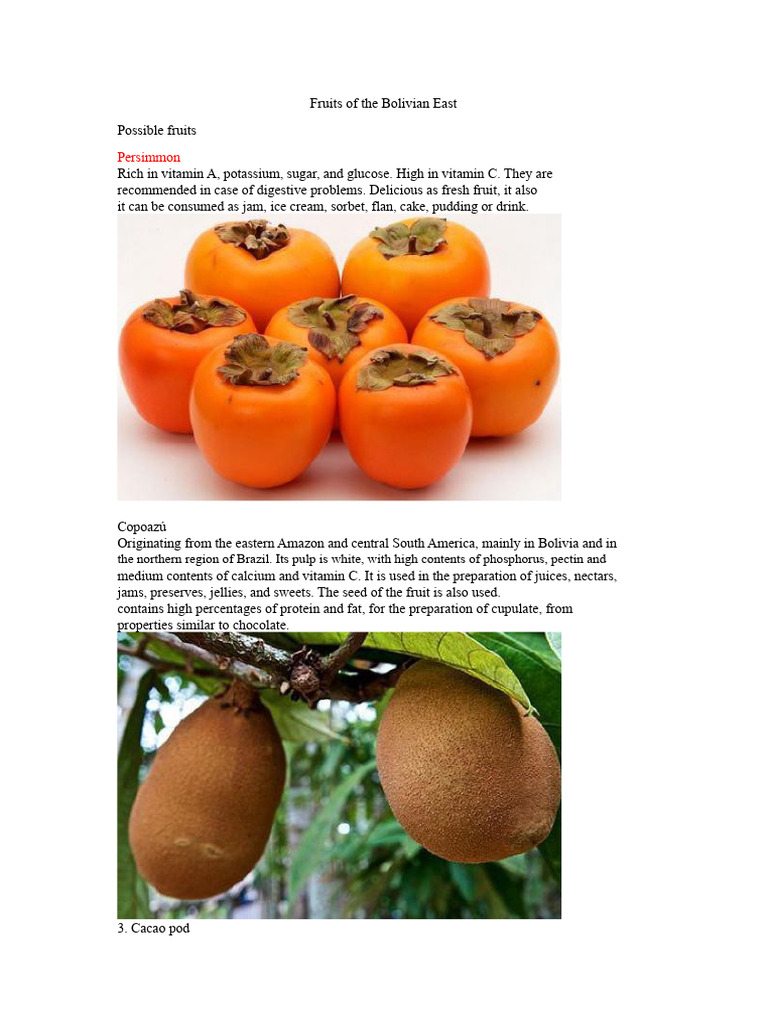 Nutrient-Rich Fruits of Bolivia | PDF | Fruit Preserves | Taste