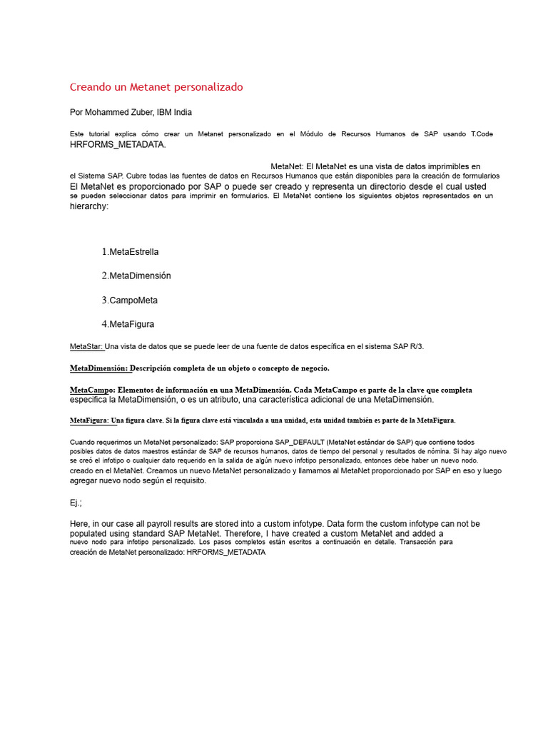 Crear un MetaNet Personalizado en SAP | PDF | Gestión de recursos humanos