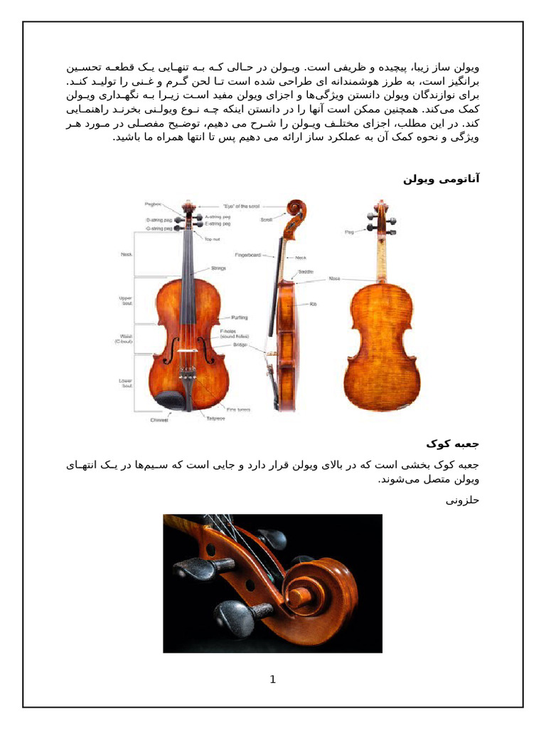 Violin | PDF