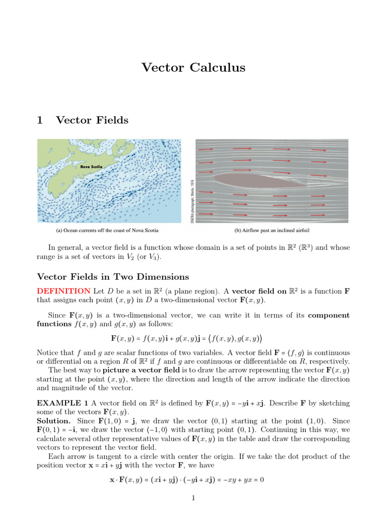Understanding Vector Fields in Calculus | PDF | Euclidean Vector | Gradient