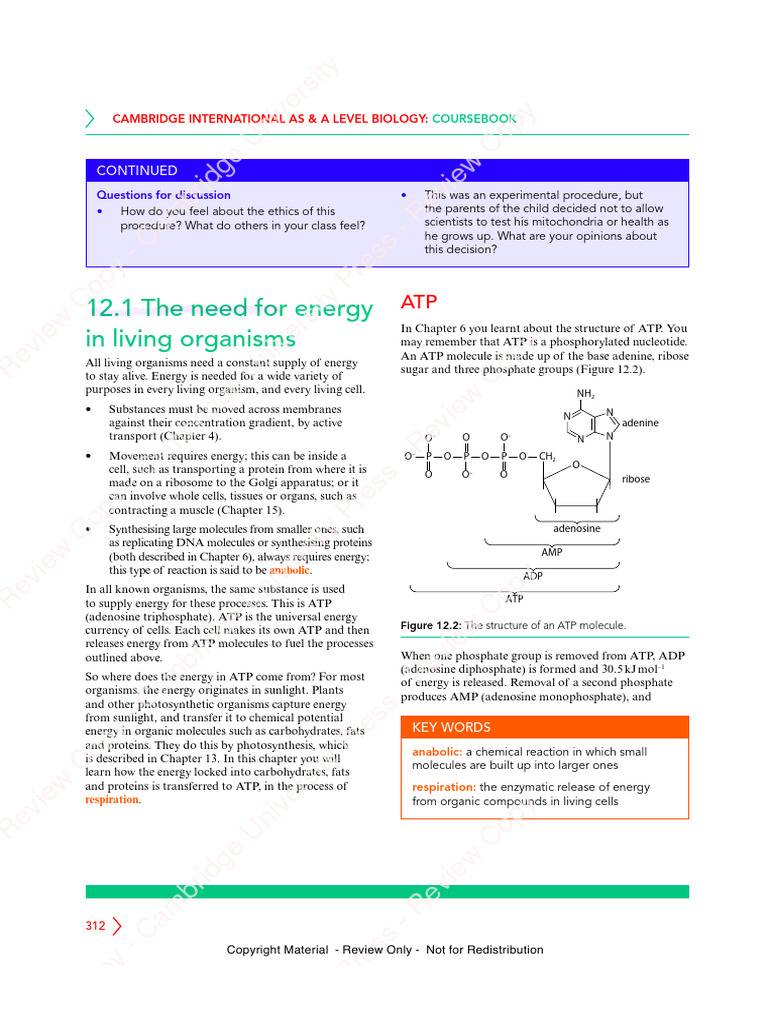 Chapter 12 | PDF | Cellular Respiration | Adenosine Triphosphate