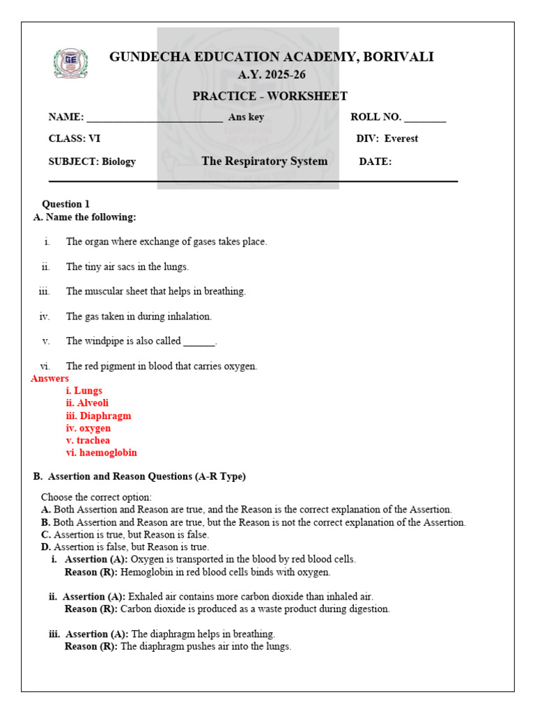 454b5c47-Eae4-415e-9841-53253a3cbacb Practice Worksheet Std 6 the ...