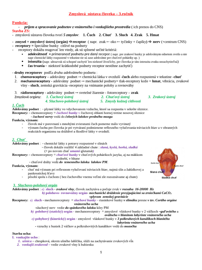 ZMYSLOVÃ SÃ STAVA -poznÃ¡mky -3.roÄ nÃ­k 2 | PDF