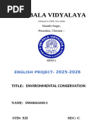 EVS Project Cover Page Design | PDF