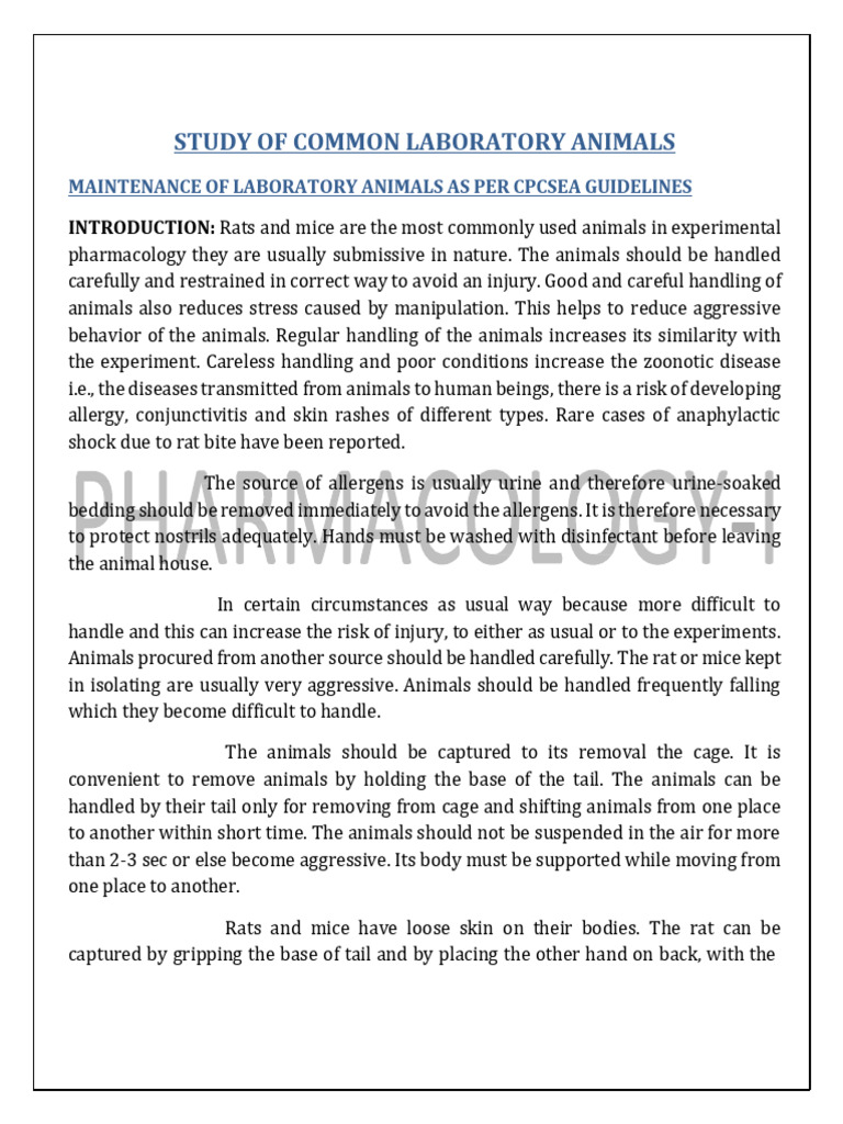 Common Laboratory Animals Overview | PDF | Laboratory Rat