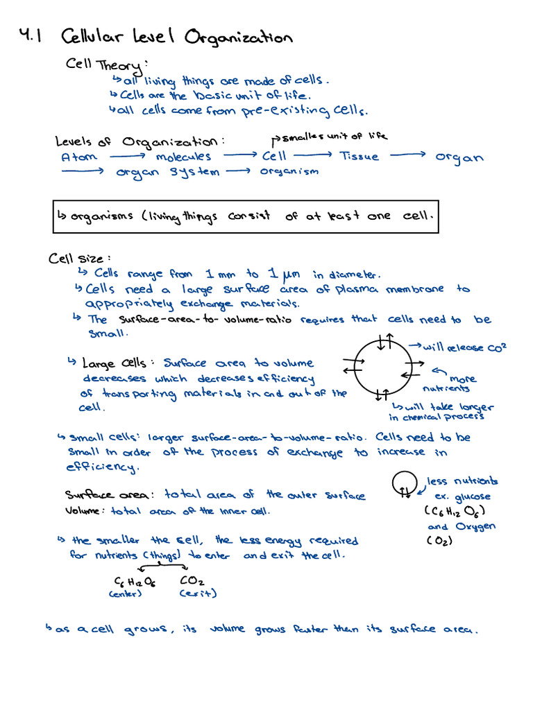 AP Biology Unit 4 and Unit 6 notes | PDF