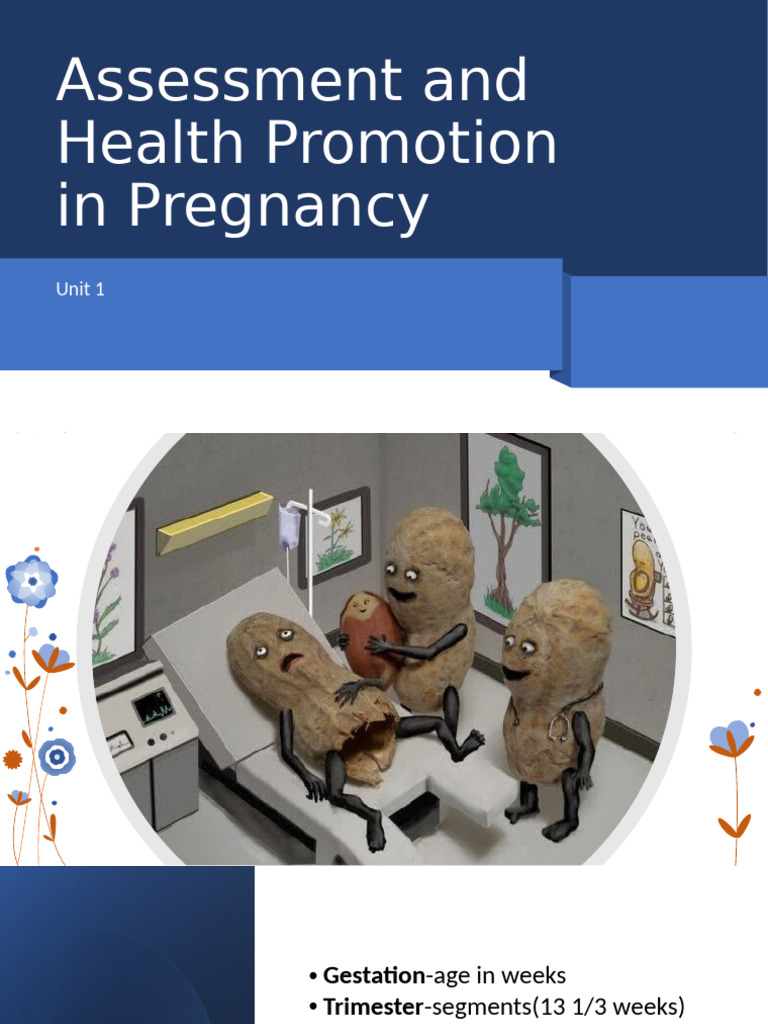 Pregnancy Assessment and Health Promotion | PDF | Pregnancy | Uterus