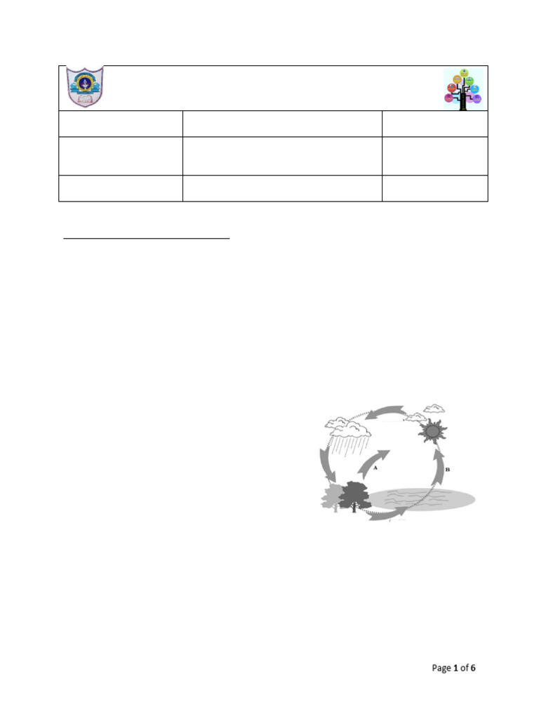 States of Water Worksheet for Class VI | PDF | Water Vapor | Water