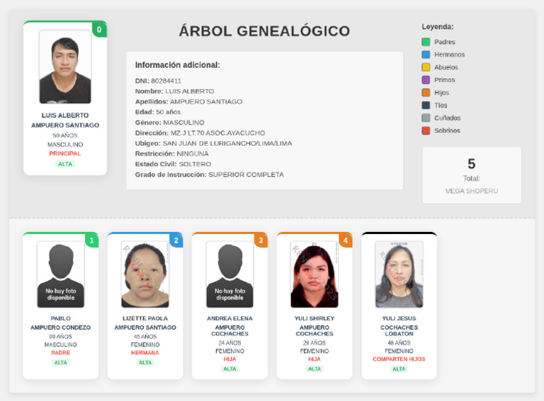 Arbol Genealogico Visual 80284411 | PDF