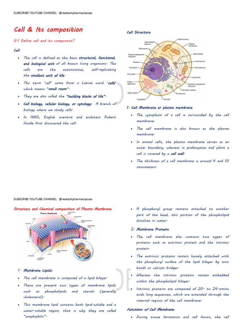 Chapter-2-Cellular-Level - by Akash Nayak | PDF | Meiosis | Cell Signaling