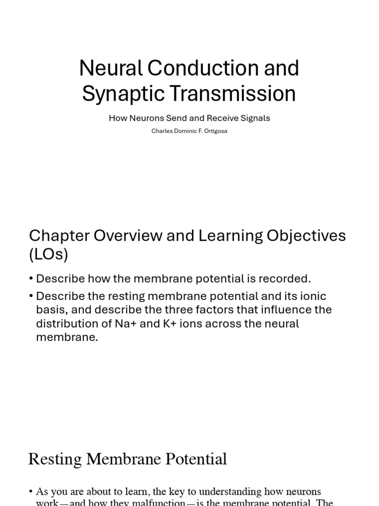 Neural Conduction and Synaptic Transmission | PDF | Inhibitory ...