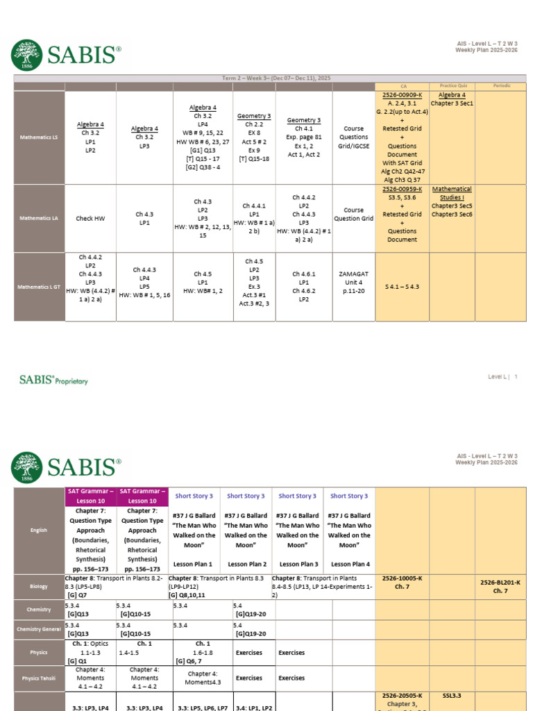Level L - Term 2 Week 3 SDP Weekly Planf | PDF