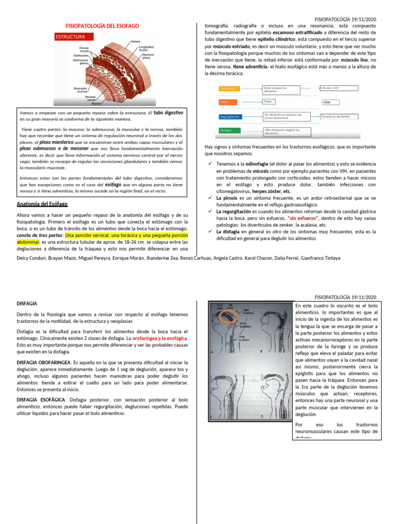 Fisiopatología del Esófago y Disfagia | PDF | La enfermedad por reflujo ...