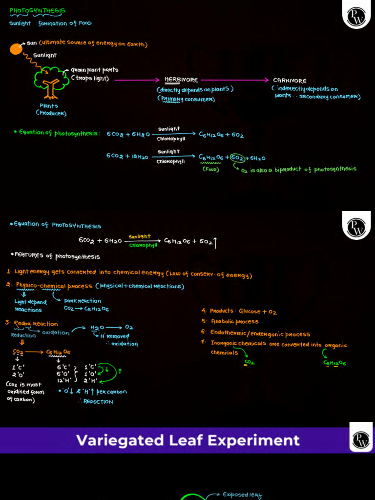 Photosynthesis in Plants | PDF