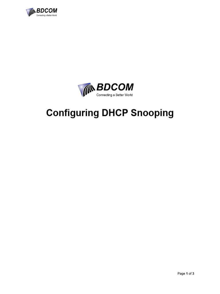 DHCP Snooping (1) | PDF