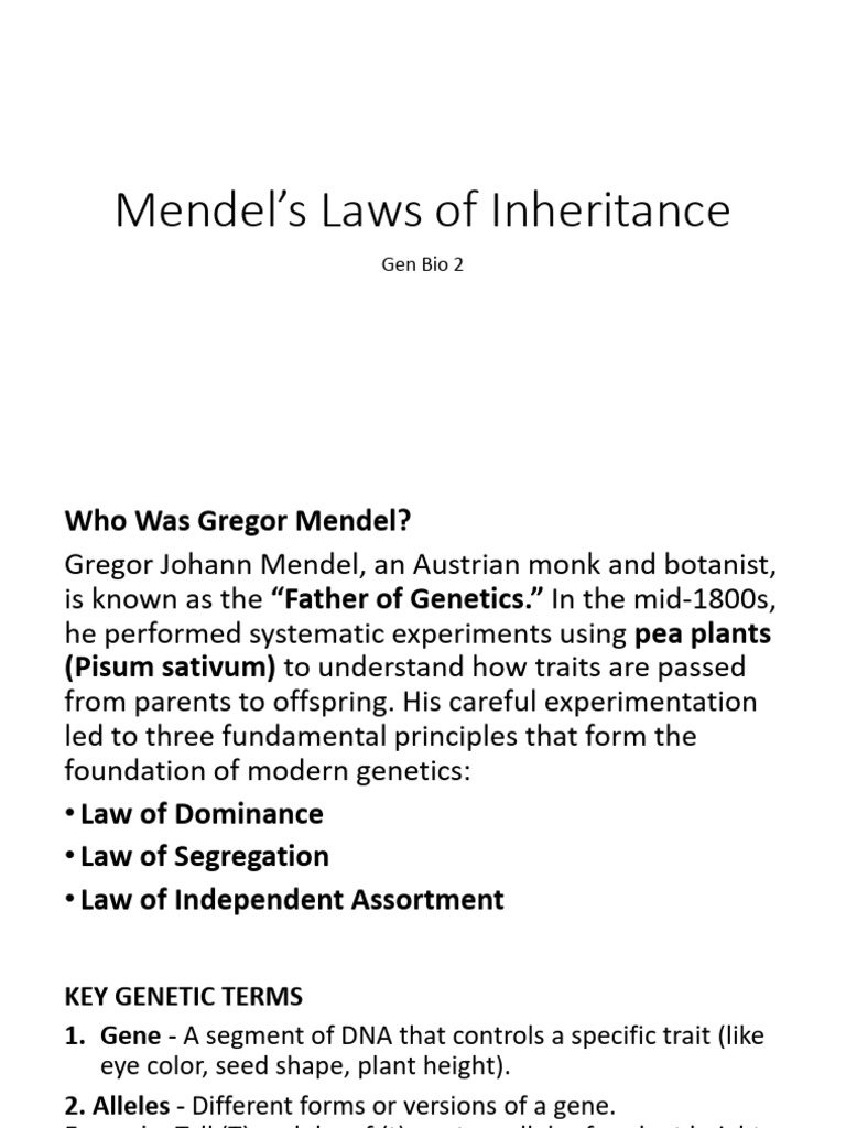 Mendels-Laws-of-Inheritance | PDF | Genotype | Dominance (Genetics)