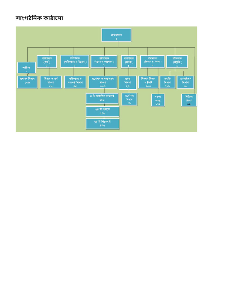 Organizational Structure | PDF