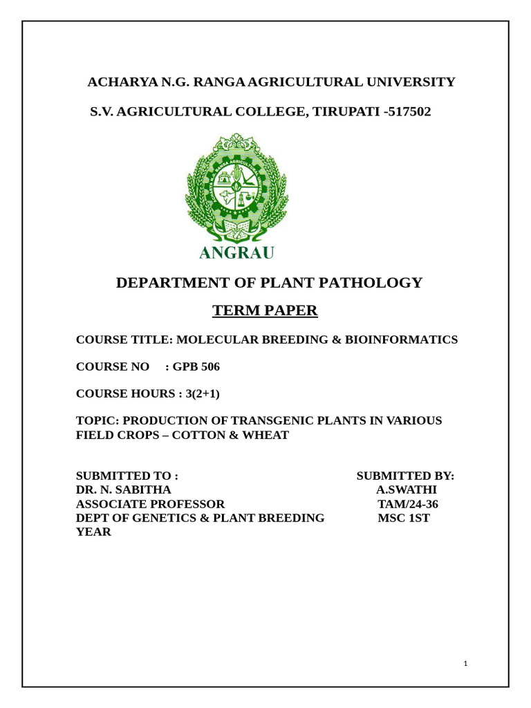 Transgenic Cotton and Wheat | PDF | Genetically Modified Organism | Biology