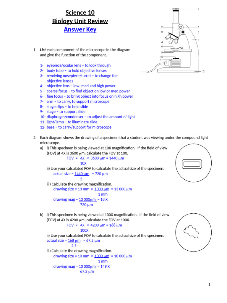 Biology Unit Review Answer Key 2016 | PDF | Cell Membrane | Cell (Biology)