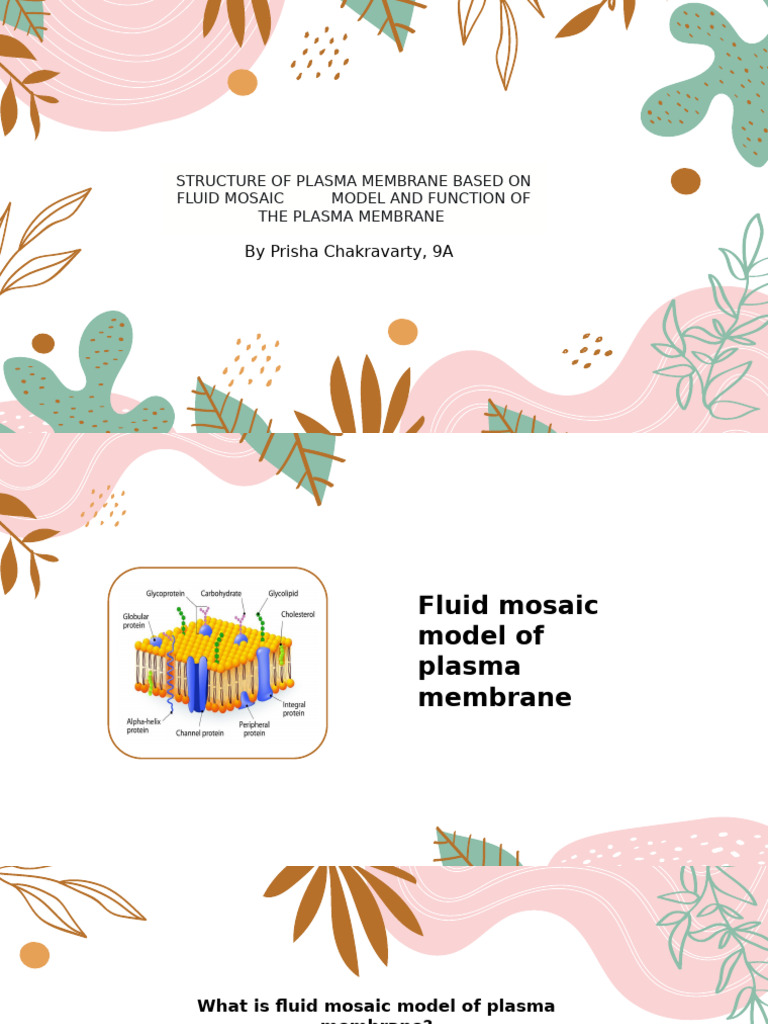 Fluid Mosaic Model of Plasma Membrane | PDF