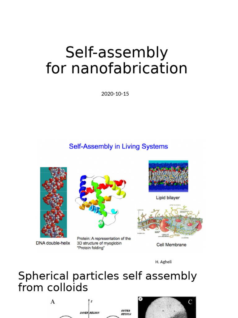 Self-assembly | PDF
