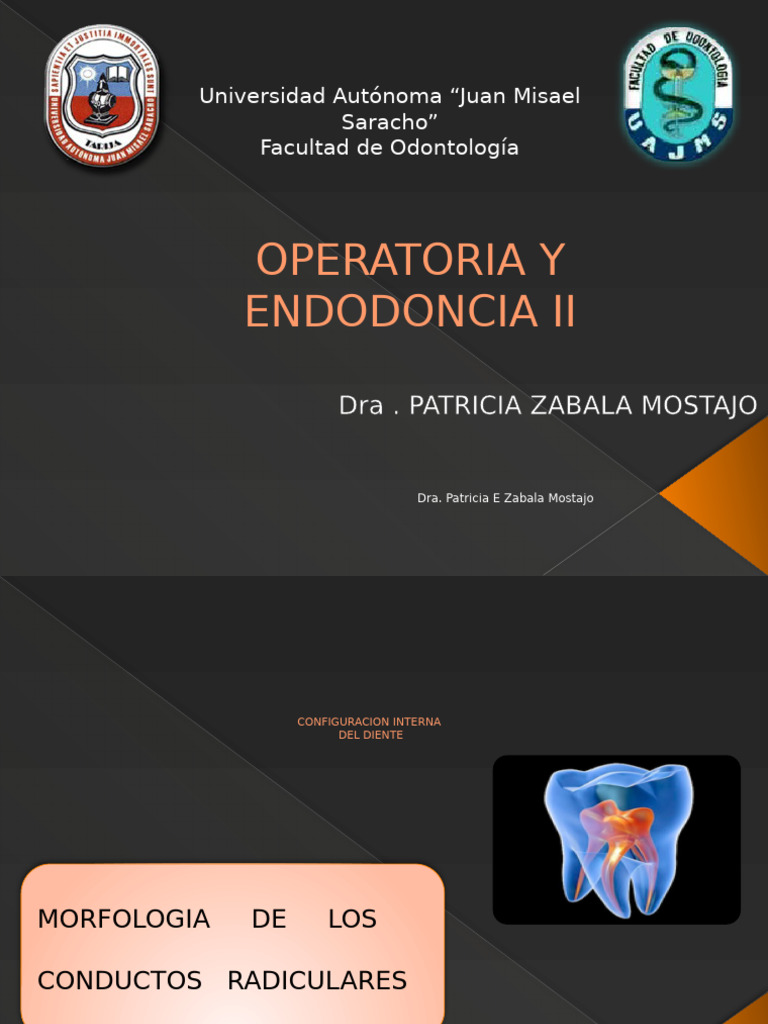 Configuracion Interna Del Diente 4to. | PDF | Odontología | Boca