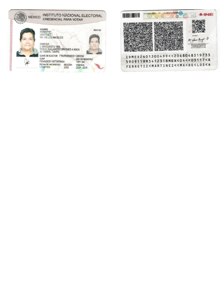 Ine Maria de Los Angeles Ferretiz | PDF