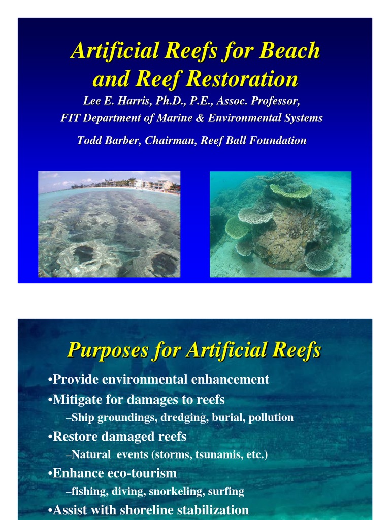 11-Submerged Artificial Reefball Breakwaters | Reef | Earth & Life Sciences