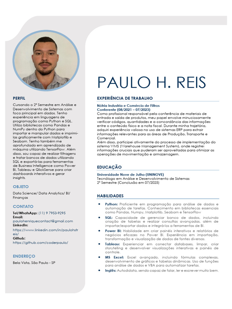 Paulo Cv | PDF | Dados | Inteligência empresarial