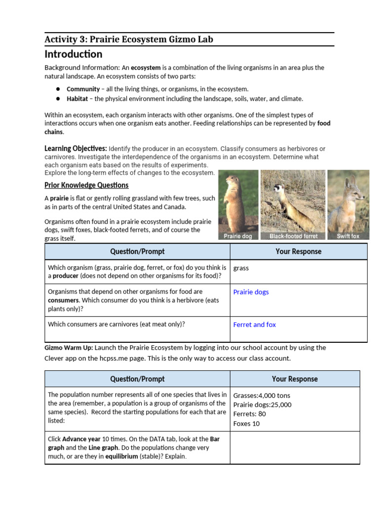 Prairie Ecosystem Lab: Food Chains & Effects | PDF | Ecosystem | Prairie