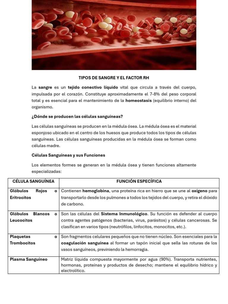 Tipos de Sangre y El Factor Rh | PDF | Tipo de sangre | Alelo