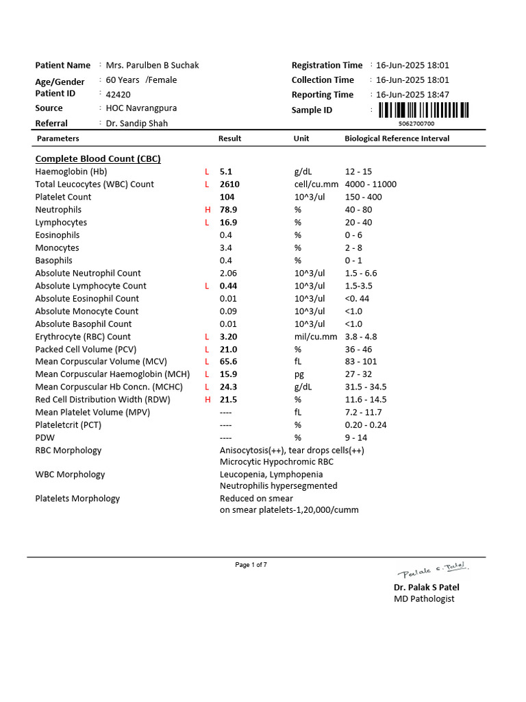 Patil Kaki Blood Test | PDF | White Blood Cell | Immune System